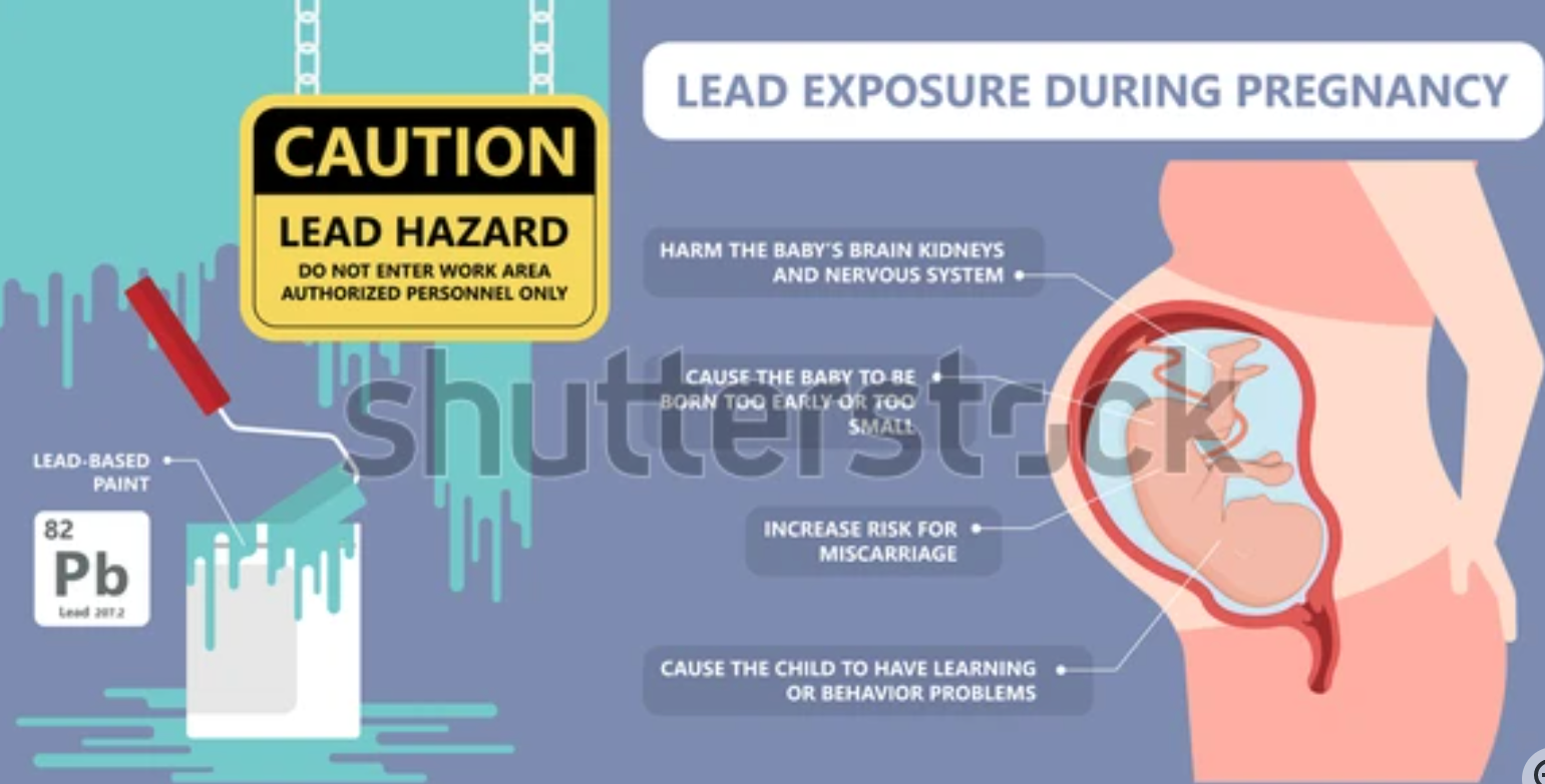 Mechanism of lead in the body: – Sustainable Lead Remediation